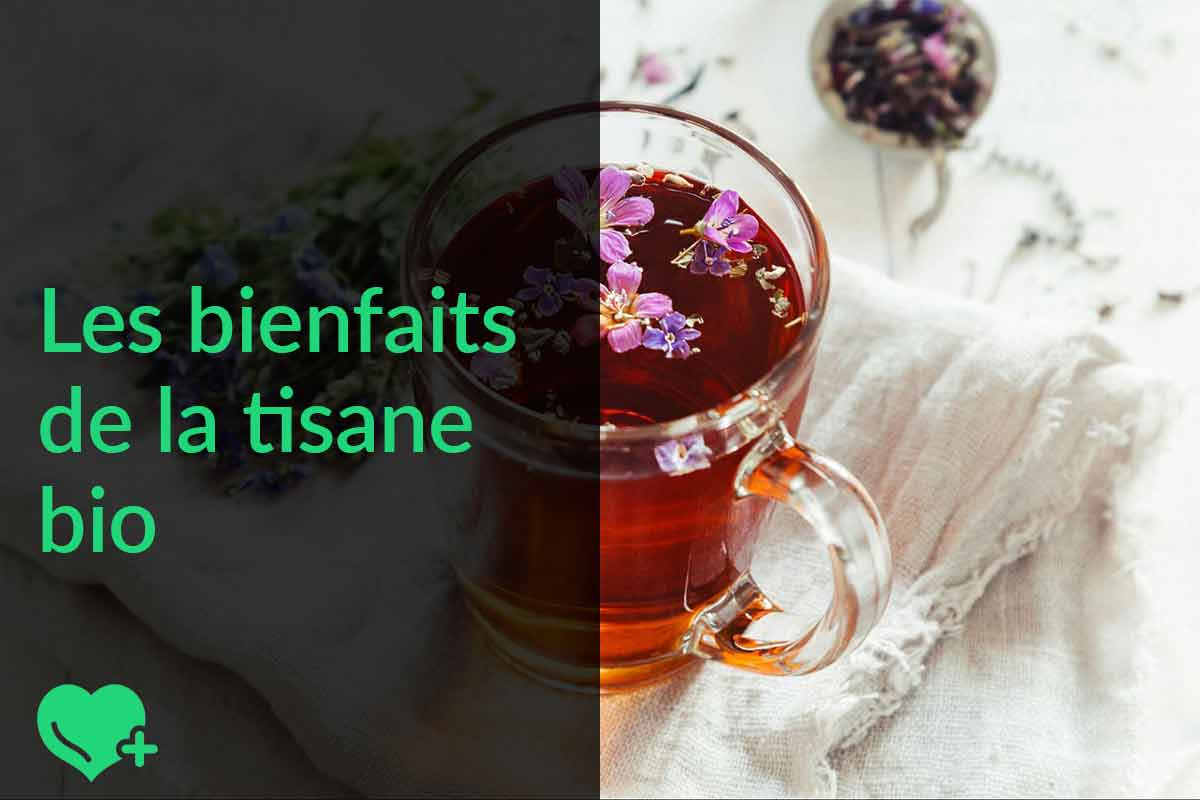 Quels sont les bienfaits des tisanes bio ? - ubuntunapa.com